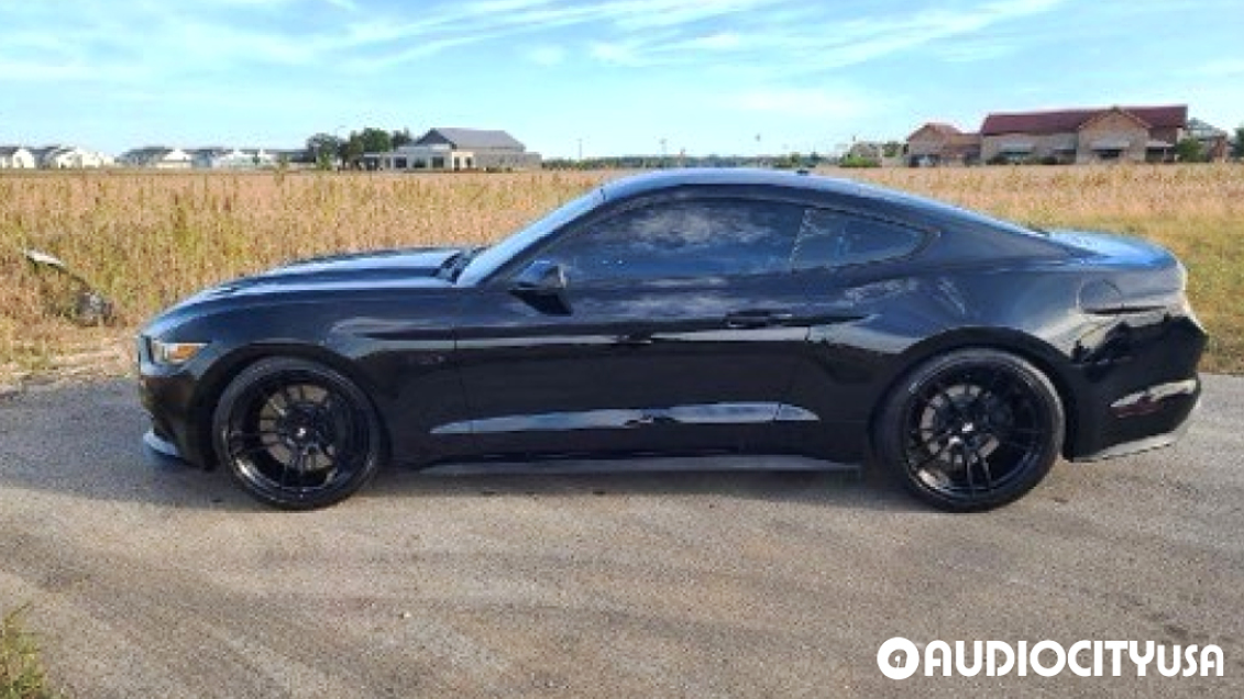2015 Ford Mustang GT on 20" P51 Wheels 101RF Gloss Black | Gallery | AudioCityUSA